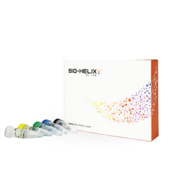 RScript cDNA Synthesis Kit ｜50 Rxns (RK001-0050) | BIO-HELIX | Ushelf