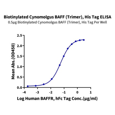Biotinylated Cynomolgus BAFF/TNFSF13B/CD257 Trimer Protein (BAF-CM412B ...