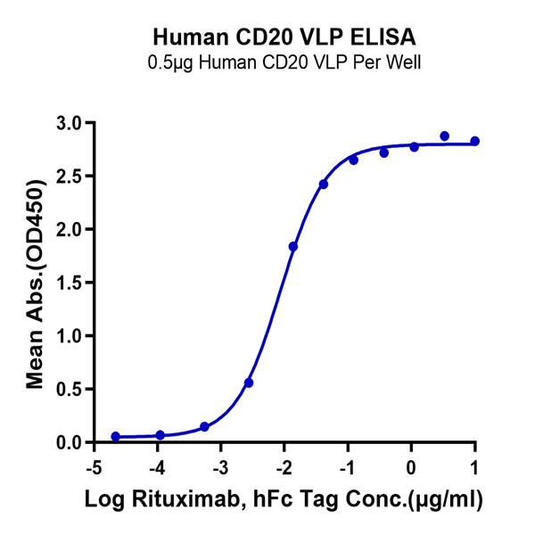 Human CD20 Protein-VLP (CD2-HM122) | KACTUS Biosystems | Ushelf