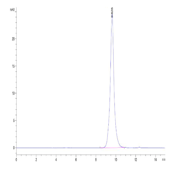 Biotinylated Cynomolgus CD3E/CD3 epsilon Protein (Primary Amine ...