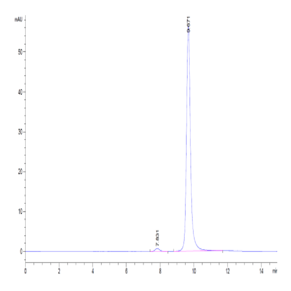 Human C-Reactive Protein /CRP Protein (CRP-HM101) | KACTUS Biosystems ...