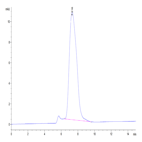Human ECSCR Protein (ECS-HM201) | KACTUS Biosystems | Ushelf