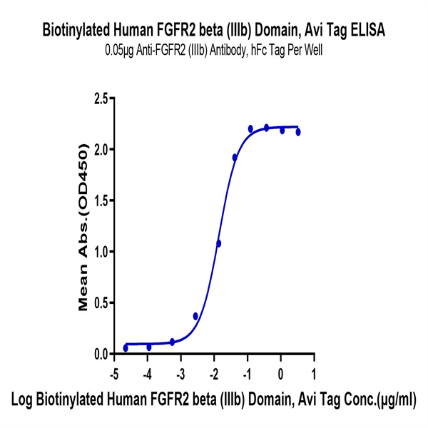 Biotinylated Human FGFR2 beta (IIIb) Domain Protein (FGF-HM4BDB ...