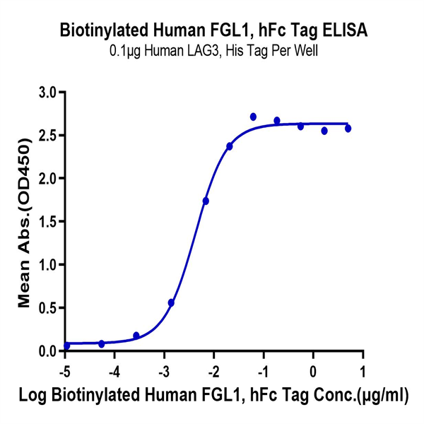 Biotinylated Human FGL1 Protein (Primary Amine Labeling) (FGL-HM211B ...