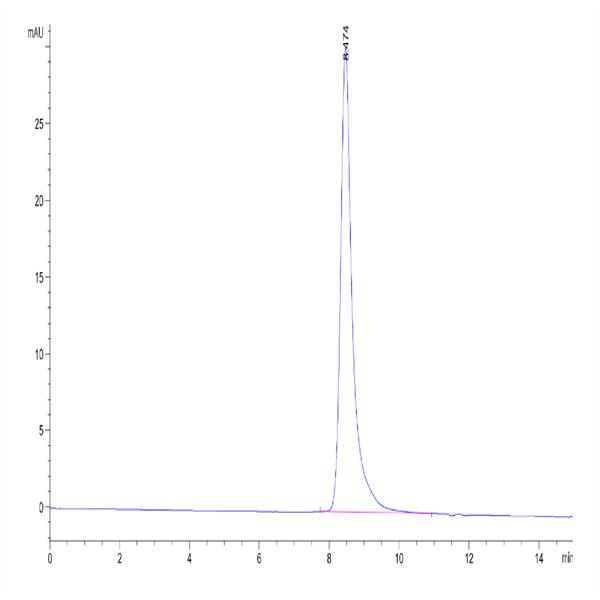 Cynomolgus Coagulation factor XI Protein (FXI-CM101) | KACTUS ...