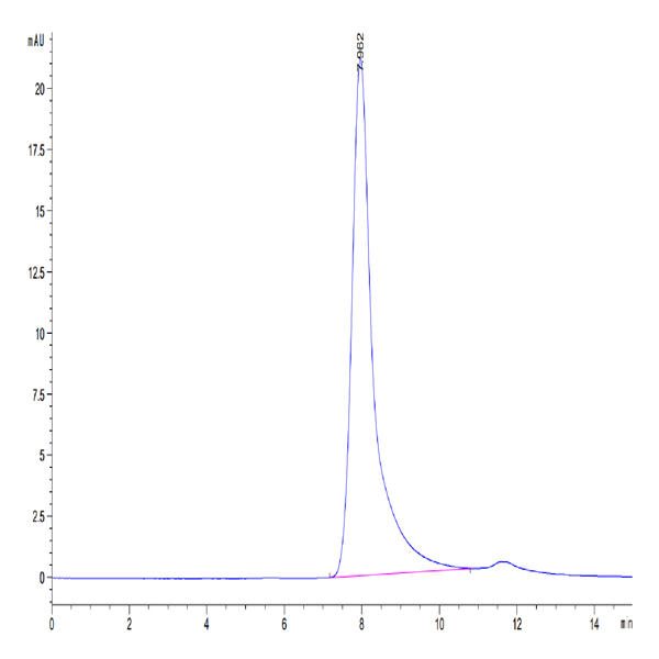 Human Factor XI Protein (FXI-HM101) | KACTUS Biosystems | Ushelf