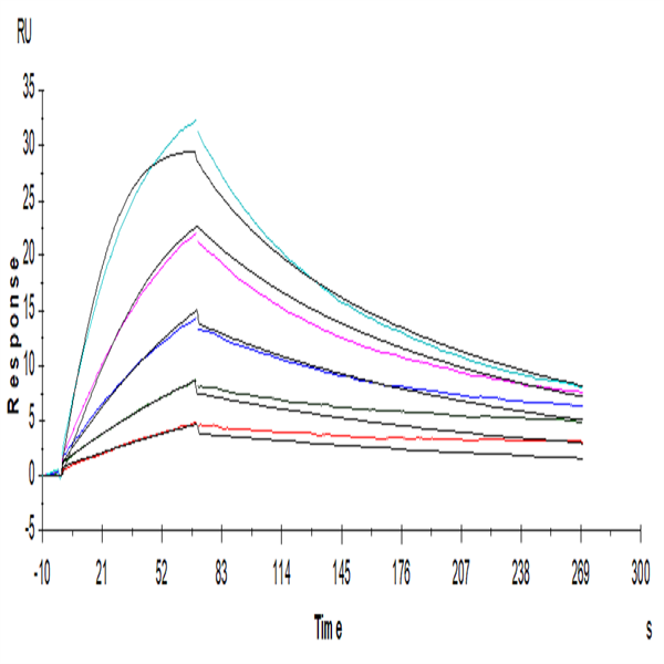 Human GM-CSF Protein (GSF-HE001) | KACTUS Biosystems | Ushelf