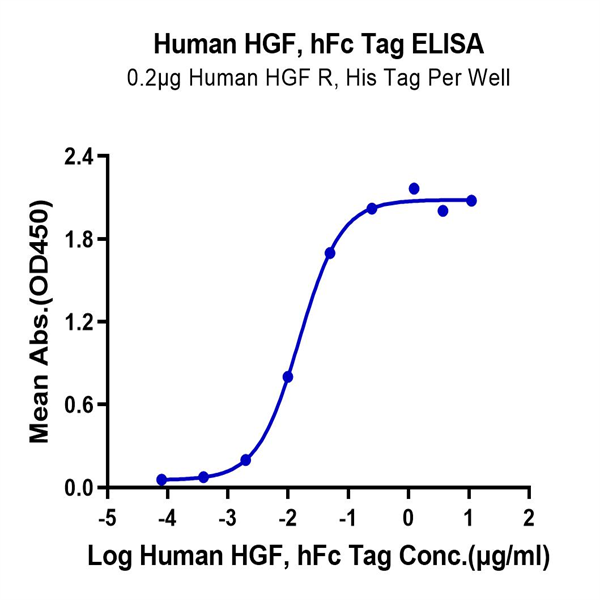 Human HGF Protein (HGF-HM201) | KACTUS Biosystems | Ushelf