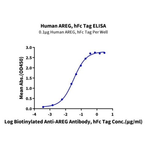 Human AREG Protein (AEG-HM201) | Ushelf