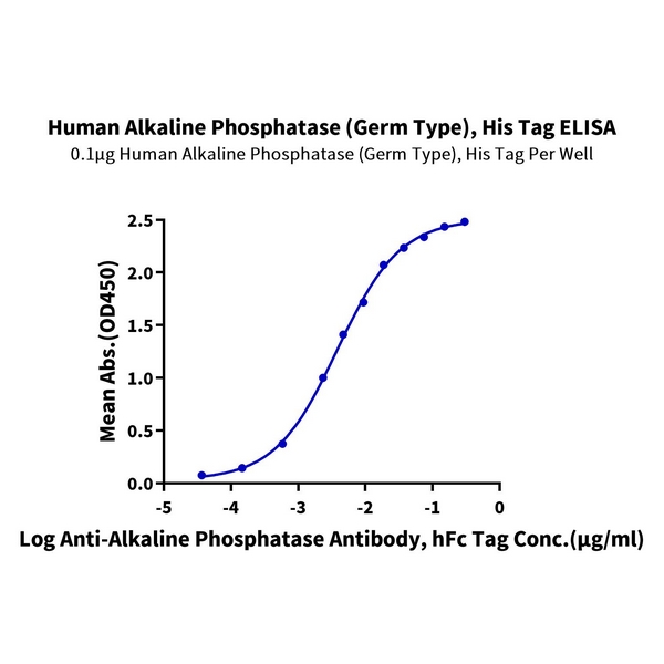 Human Alkaline Phosphatase (Germ type) /ALPG Protein (APE-HM103) | Ushelf
