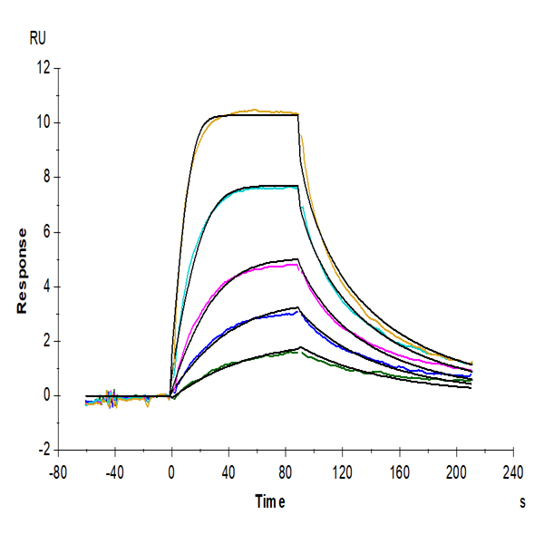 Human IL-11R alpha Protein (ILR-HM111) | KACTUS Biosystems | Ushelf