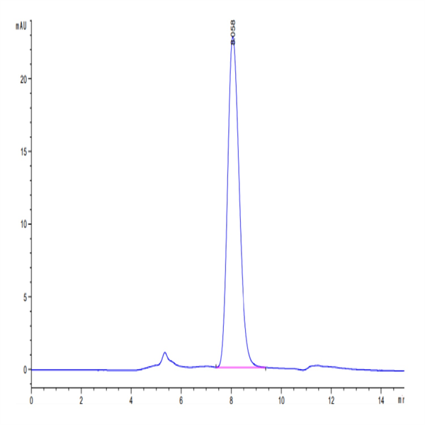Human Siglec-4a/MAG Protein (MAG-HM101) | KACTUS Biosystems | Ushelf