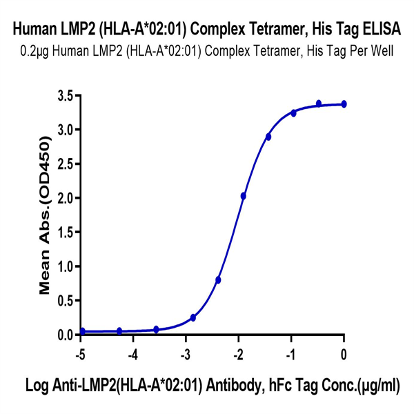 Human HLA-A*02:01&B2M&LMP2 (CLGGLLTMV) Tetramer Protein (MHC-HM411T ...