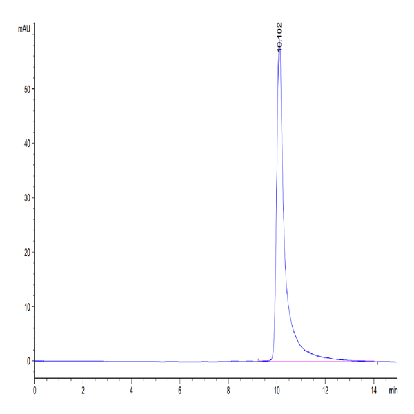 Human MARCO Protein (MRO-HM102) | KACTUS Biosystems | Ushelf