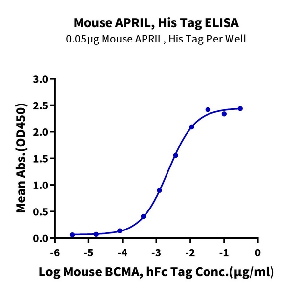 Mouse APRIL/TNFSF13 Protein (APR-MM113) | Ushelf