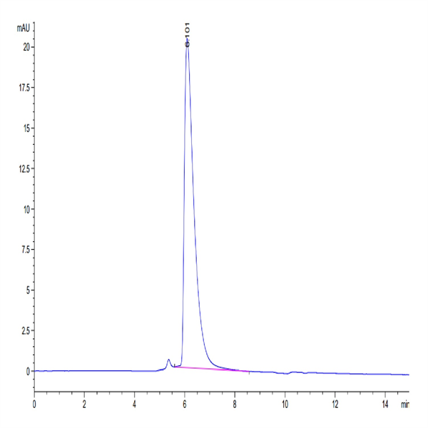 Human Nectin-1/PVRL1/CD111 Protein (NEC-HM401) | KACTUS Biosystems | Ushelf