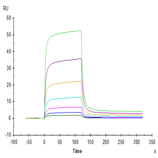 Human PD-1/PDCD1 Protein (PD1-HM201) | KACTUS Biosystems | Ushelf