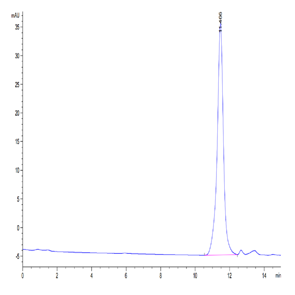 Human PLAU/uPA Protein (active form) (PLA-HM101) | KACTUS Biosystems ...