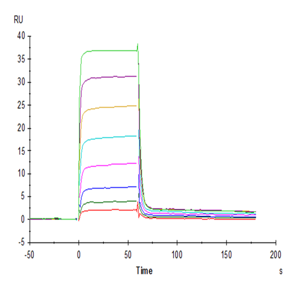 Human PVRIG Protein (PVR-HM301) | KACTUS Biosystems | Ushelf