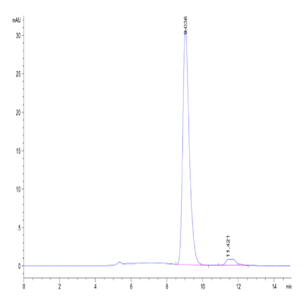 Human RANKL/TNFSF11/CD254 Protein (RKL-HM001) | KACTUS Biosystems | Ushelf