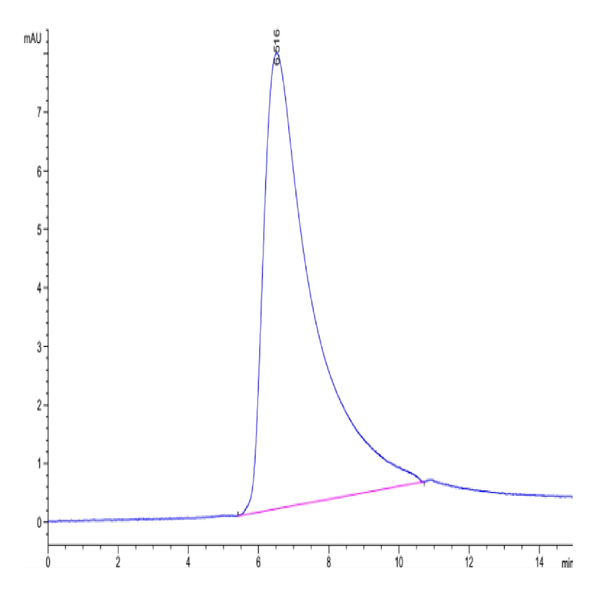Biotinylated Human Siglec-2/CD22 Protein (SIG-HM412B) | KACTUS ...