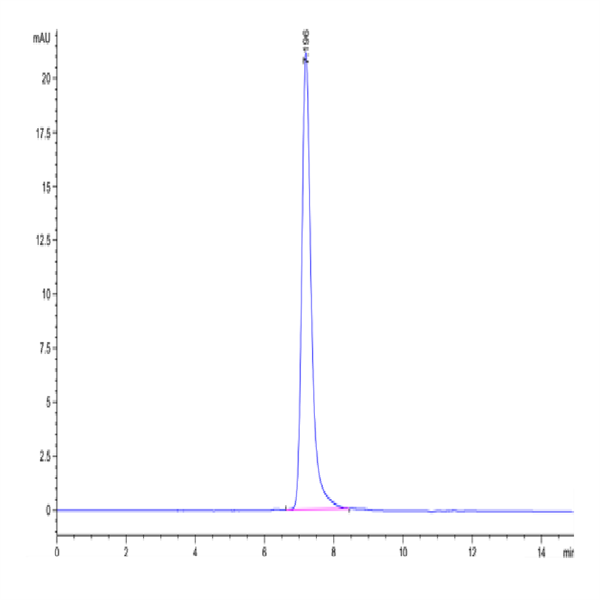 Human Tenascin Protein (TNC-HM101) | KACTUS Biosystems | Ushelf