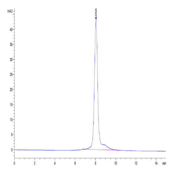 Mouse Thyroid Peroxidase Protein (TPO-MM101) | KACTUS Biosystems | Ushelf