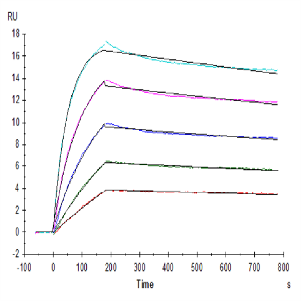 Human DcR1/TRAILR3 Protein (TRA-HM103) | KACTUS Biosystems | Ushelf