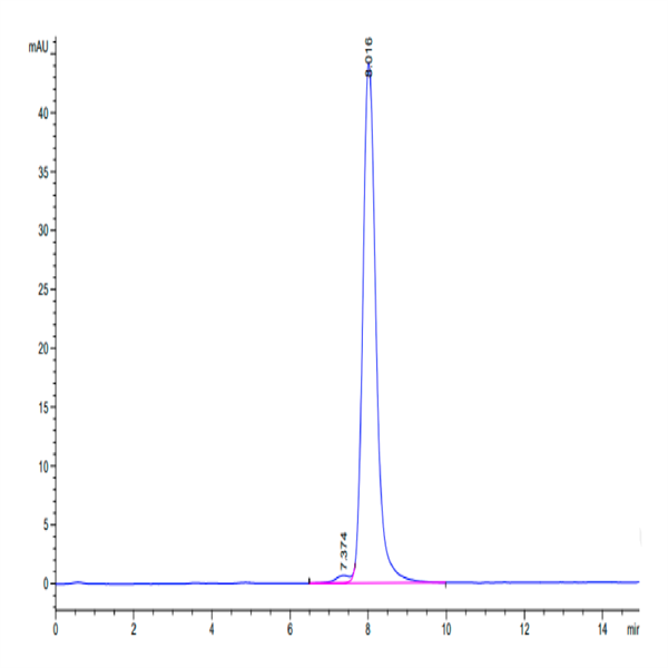 Cynomolgus TYRO3 Protein (TYR-CM103) | KACTUS Biosystems | Ushelf