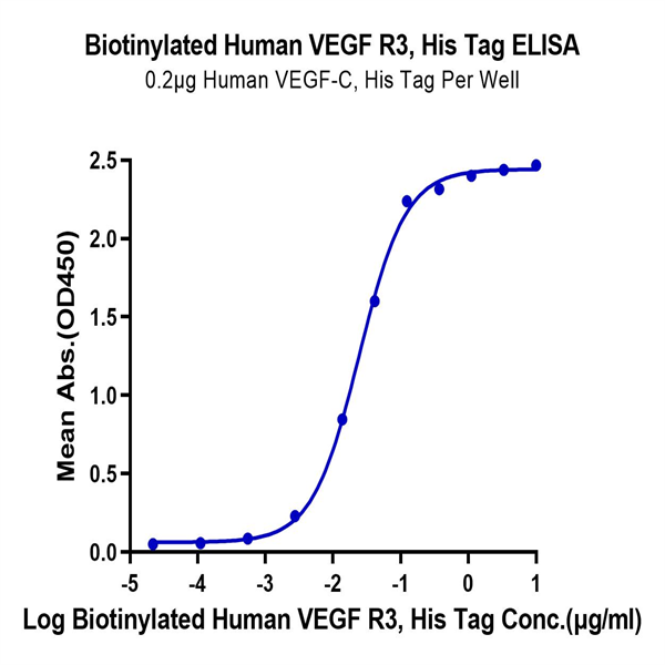 Biotinylated Human VEGF R3/FLT4 Protein (VGF-HM4R3B) | KACTUS ...