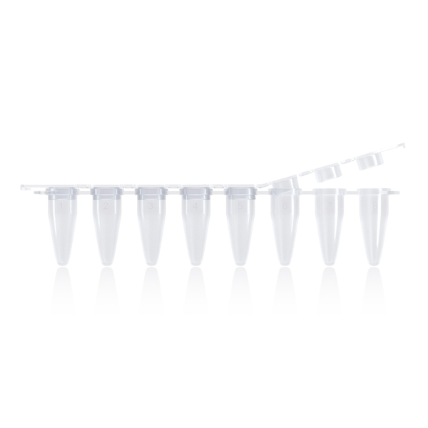 0.1 ml 8-Tube PCR Strips (with Caps) (PCR00801-EN) | Vazyme | Ushelf