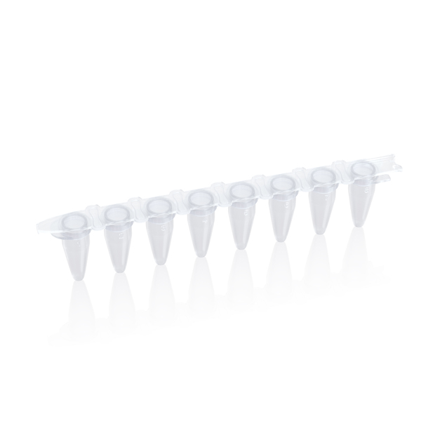 0.1 ml 8-Tube PCR Strips (with Caps) (PCR00801-EN) | Vazyme | Ushelf