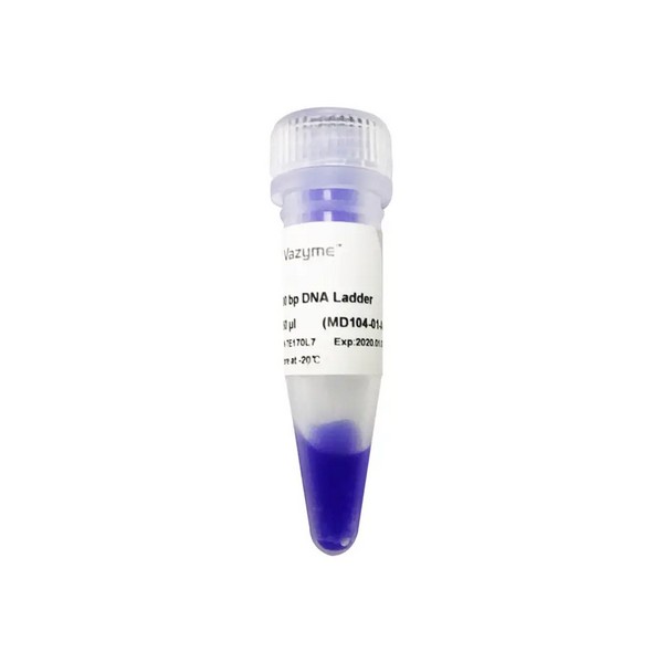 100 bp DNA Ladder (MD104) | Vazyme | Ushelf
