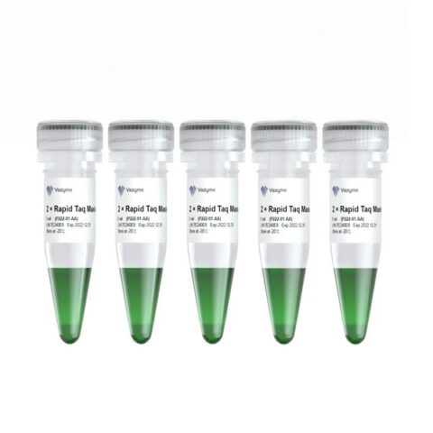 2 × Rapid Taq Master Mix (P222) | Vazyme | Ushelf