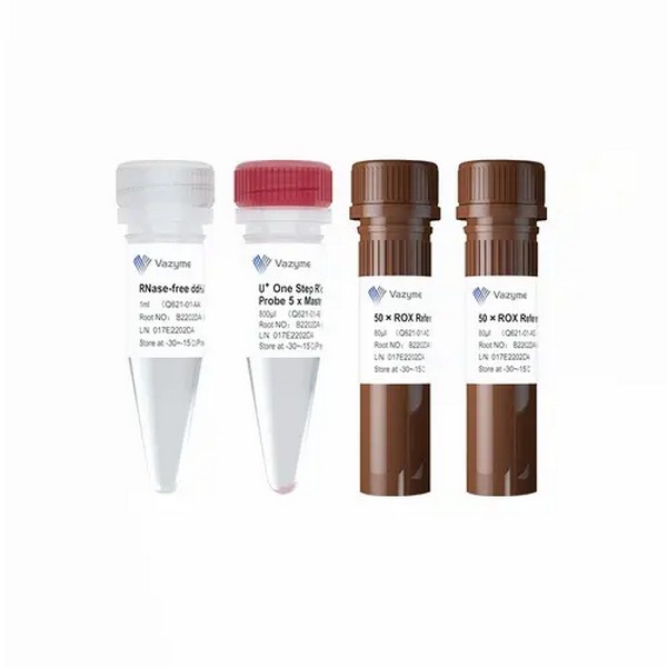 AccurSTART One Step RT-qPCR Super PreMix (ONE TUBE) (Q621-EN) | Vazyme | Ushelf