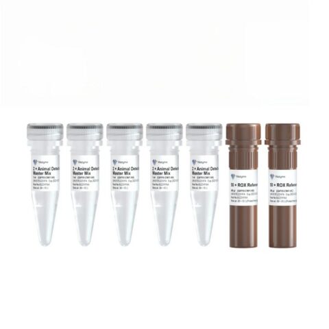 Animal Detection Probe Master Mix (QV110-EN) | Vazyme | Ushelf