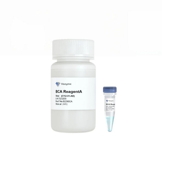 BCA Protein Quantification Kit (E112) | Vazyme | Ushelf
