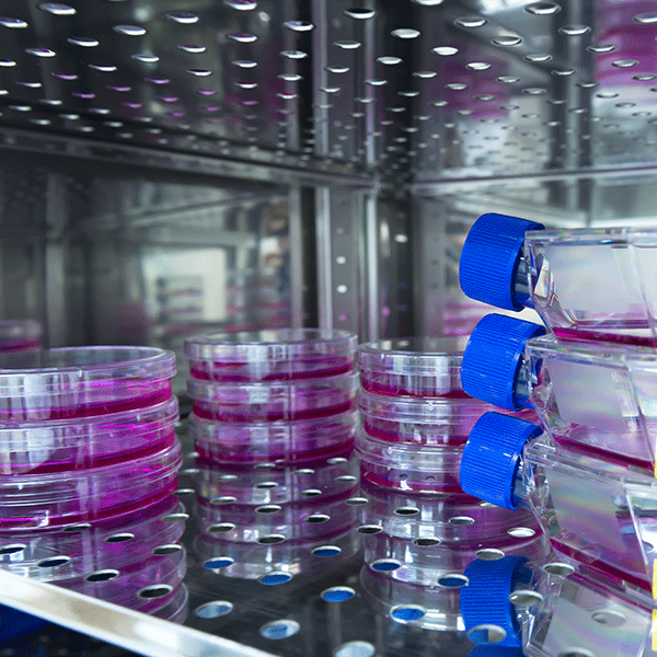 Biotinylated Recombinant Human ACE2-Fc-Avi Protein | Ushelf