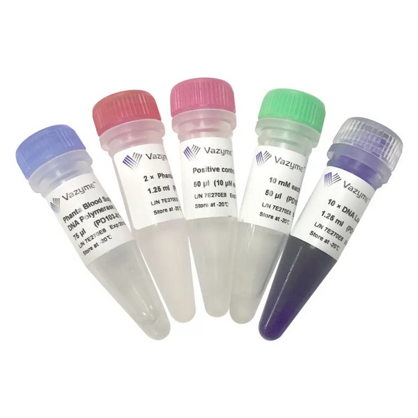 Blood Direct PCR Kit V2 (PD103) | Vazyme | Ushelf