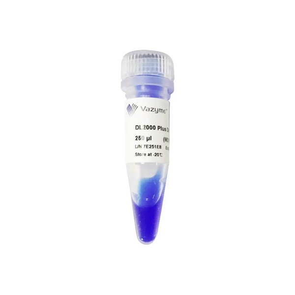 DL2000 Plus DNA Marker (MD101) | Vazyme | Ushelf