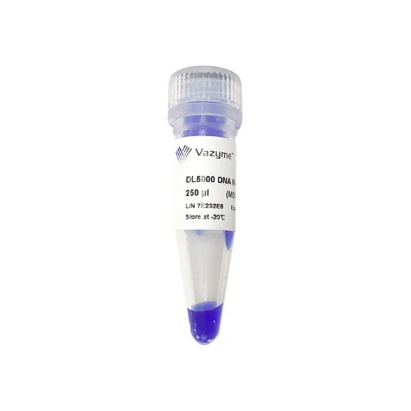 DL5000 DNA Marker (MD102) | Vazyme | Ushelf