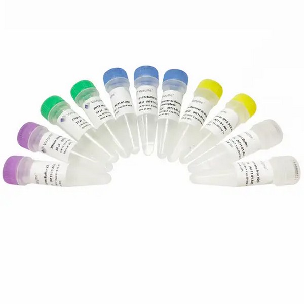 Discover-sc WTA Kit V2 (N711) | Vazyme | Ushelf