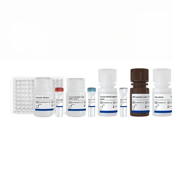EasyAna dsRNA (Modified) Quantitative Detection Kit (ELISA) 2.0 ...