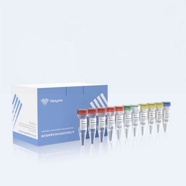 EpiArt DNA Enzymatic Methylation Kit (EM301) | Vazyme | Ushelf