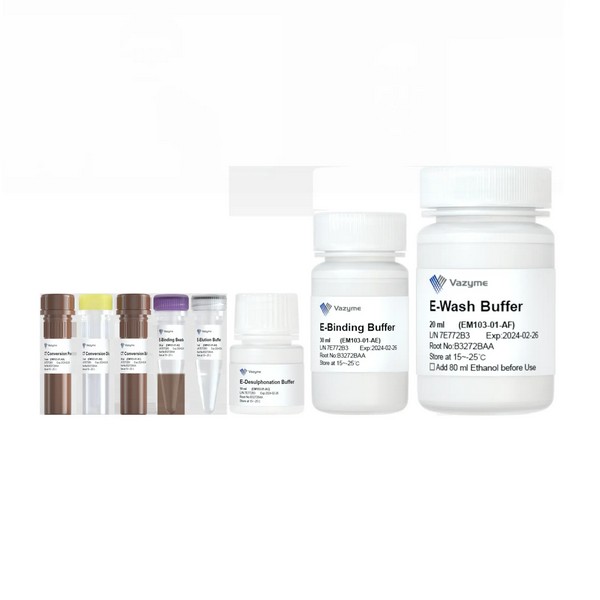 EpiArt Magnetic DNA Methylation Bisulfite Kit (EM103) | Vazyme | Ushelf