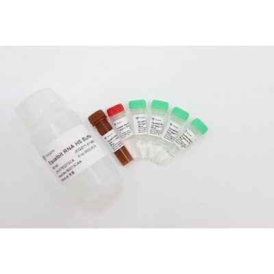Equalbit RNA HS Assay Kit (EQ211) | Vazyme | Ushelf