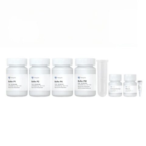 FastPure EndoFree Plasmid Maxi Kit (DC202-01) | Vazyme | Ushelf