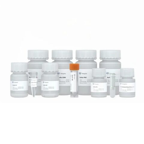 FastPure EndoFree Plasmid Mini Kit (DC203-01) | Vazyme | Ushelf