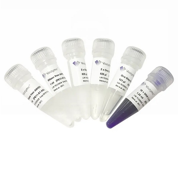 HiScript II One Step RT-PCR Kit (P611-01) | Vazyme | Ushelf