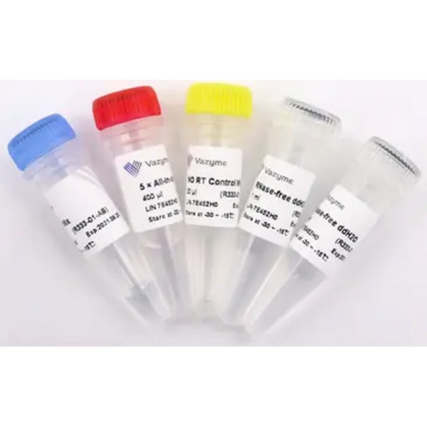 HiScript III All-in-one RT SuperMix Perfect for qPCR (R333-01) | Vazyme ...